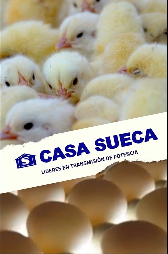 CADENAS AVICOLAS | TRANSMISION DE POTENCIA | CADENAS ESPECIALES | – Casa Sueca